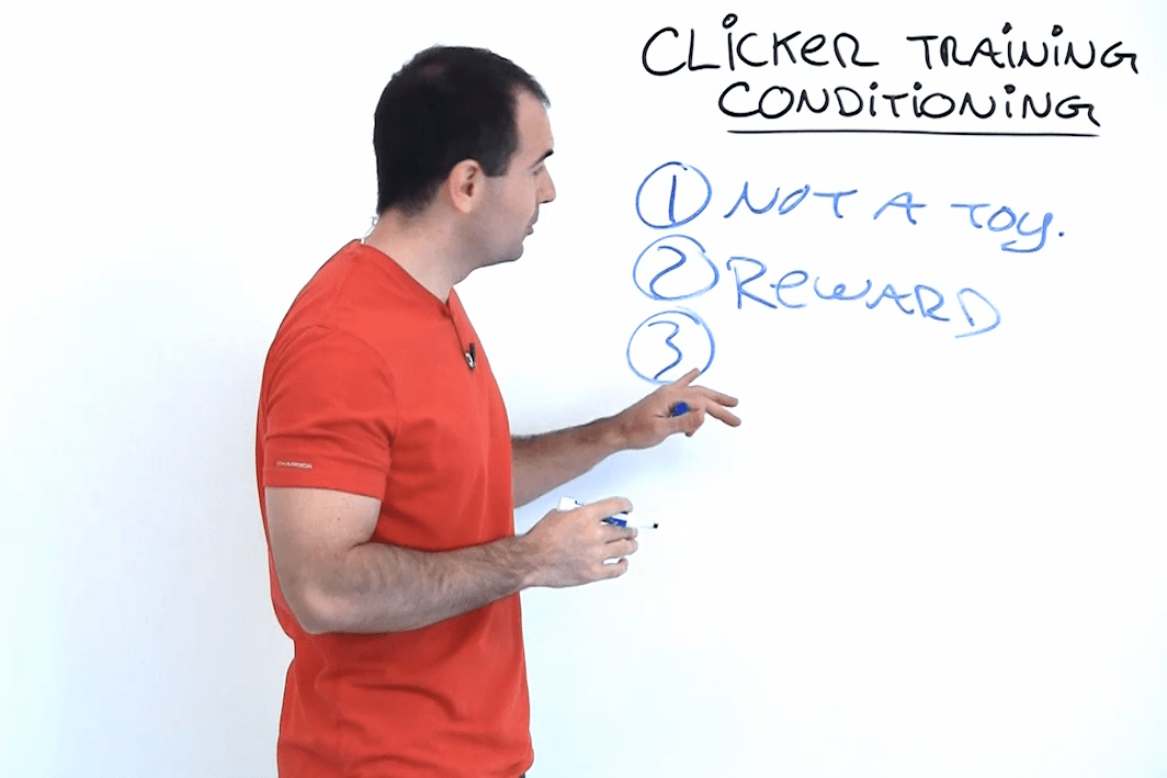 Clicker Training Conditioning - Dog Trick Academy