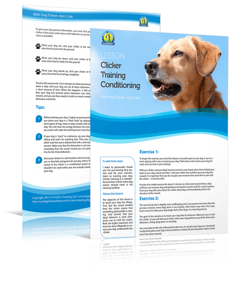 Clicker Training Conditioning - Dog Trick Academy