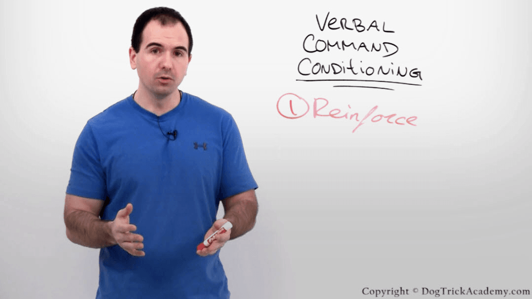 Verbal Command Conditioning - Dog Trick Academy